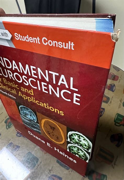Fundamentals Neuroscience 4th Edition Hobbies And Toys Books And Magazines Textbooks On Carousell