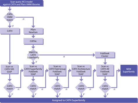 Alphafold2 Reveals Commonalities And Novelties In Protein Structure