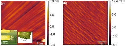 Bjnano Qplus Magnetic Force Microscopy In Frequency Modulation Mode With Millihertz Resolution