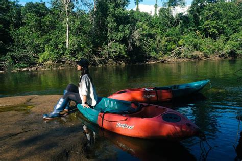 លើសពីនេះ ឧទ្យានជាតិបុទុមសាគរនេះ គ៏មានសត្វព្រៃដែលផុតពូជ លើពិភពលោកកំពុង រស់នៅផងដែរ