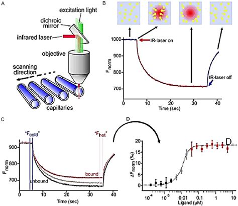 Setup For MicroScale Thermophoresis MST A MST Tests Are Carried Out Download Scientific