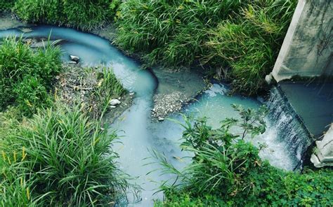 Asbestos Testing Products Methods And The Importance Of Laboratory Testing