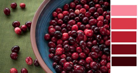 Cranberry Color Effy Moom