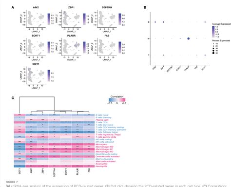 Figure 7 From Classification Of Tuberculosis Related Programmed Cell Death Related Patient
