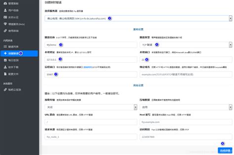 怎样使用sakura内网穿透 樱花内网穿透怎么加入别人隧道 csdn博客