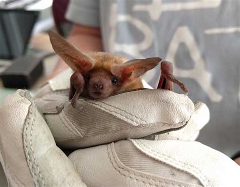 Noise Monitoring And Mitigation Services · Ecorp Consulting Inc