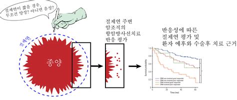 방사선의학 웹진