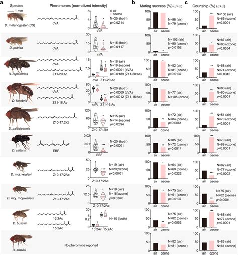 Effects Of Ozone On Male Specific Compounds And Sexual Behavior Of Download Scientific