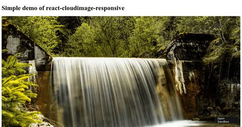 React Cloudimage Responsive Example Codesandbox