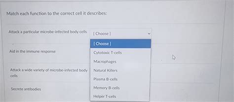 solved match each function to the correct cell it describes