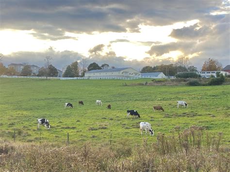 常用级数公式汇总 知乎