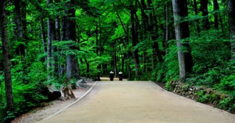 여행 길 위에서 길을 묻다