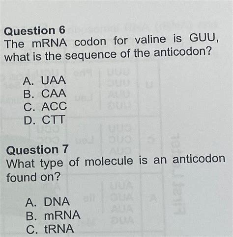 Answered Question 6 The Mrna Codon For Valine Is Guu What Is The Kunduz