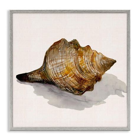 Stupell Industries Conch Shell On Beige By Jacob Q Gray Framed Coastal Giclee Art Print 12 In X