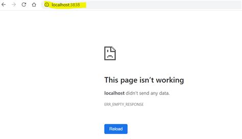 Not Able To See Shiny App On Docker At Given Port Stack Overflow