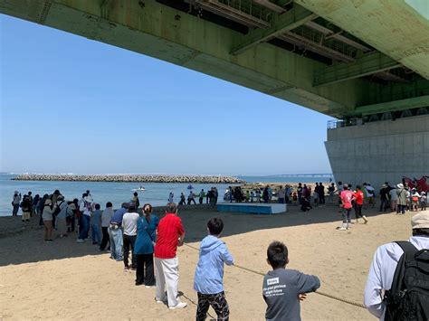開催中止岡田浦漁港地引網体験 なんかいくらし南海沿線の暮らし役立ち情報発信Webマガジン