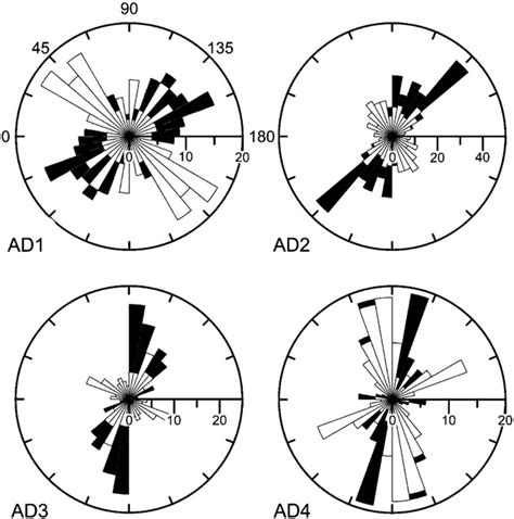 Orientation Of Polygon Elongation White In Relation To The Direction