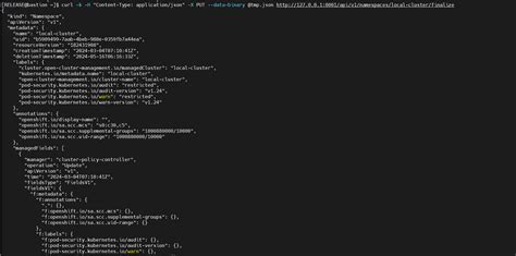 How To Fix Openshift Namespaces Stuck In Terminating State By Auliya