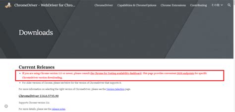 seleniumbasic chromedriver自動更新の方法解説 programan