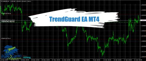 Manualtrader Mql4 Script Forex Wiki Trading