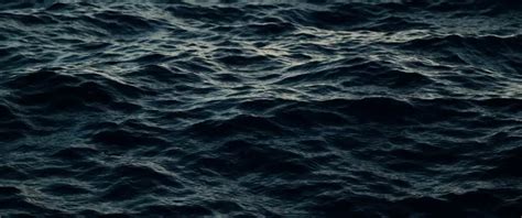 Lakshika Serasinhe On Linkedin Happy To Announce Nothing To Be Done Will Be Screened At The