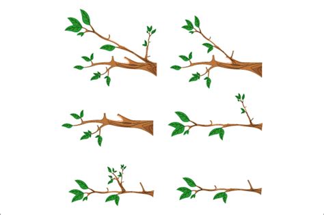 Tree Branch Graphic Design