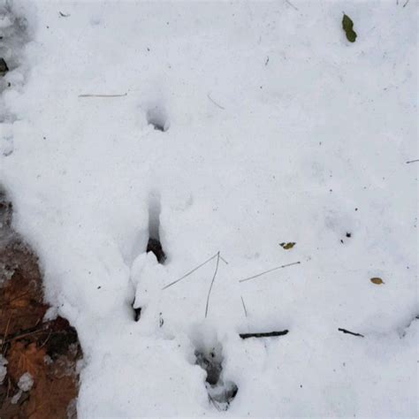 묵황 귓전 명상 1 너무 애쓰지 마라 집착하지 마라 인연에 따라 물 흐르듯 흘러가도록 놔둬야 한다 이 세상 모든