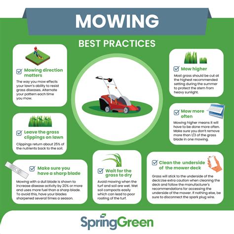 How To Properly Mow Your Lawn Expert Techniques And Tips