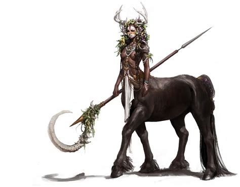 Centaur Girl By Ferret Kim Scrolller