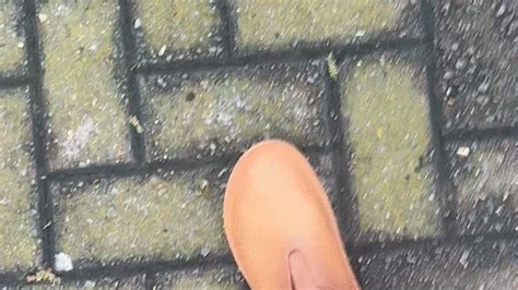 Giantess Takes Her L One For A Walk B Goddess Zena Clips4sale