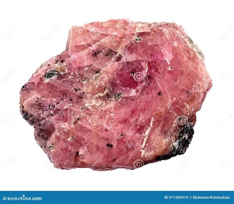 Specimen Of Natural Raw Red Ruby Mineral Cutout Stock Image Image Of Rock Natural 311269319