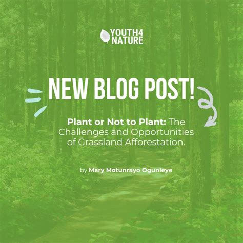 Ogunleye Mary Motunrayo On Linkedin Y4n Forestecosystemservices Landuse Forestrestoration