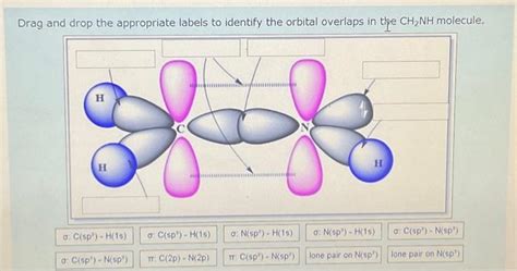Solved Drag And Drop The Appropriate Labels To Identify The