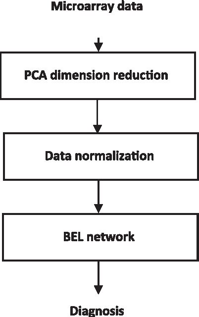 Figure 1 From Gene Expression Microarray Classification Using Pca Bel Semantic Scholar