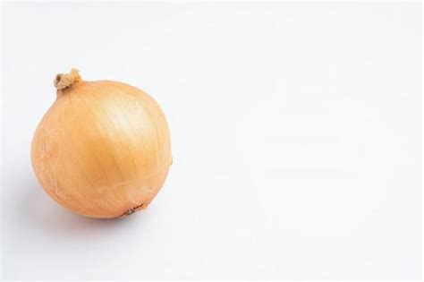 무료 사진 제목