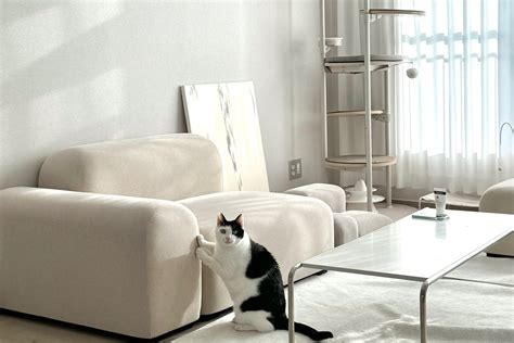 멍🐶냥😺 집사님의 화이트베이지톤의 미니멀 하우스 라이프스타일 슈퍼앱 오늘의집 멍🐶냥😺 집사님의 화이트베이지톤의 미니멀 하우스 라이프스타일 슈퍼앱 오늘의집