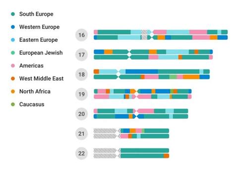 Autosomal Dna Test Results Using Ethnicity Estimates To Generate