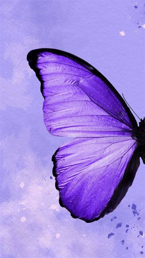 صور فراشه بنفسجيه Purple Butterfly Wallpaper Purple Wallpaper Iphone