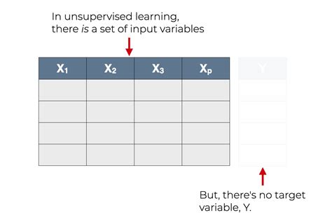 Supervised Vs Unsupervised Learning Explained Sharp Sight