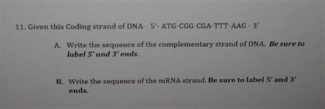 Solved Given This Coding Strand Of DNA Chegg