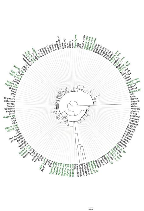 New Sars Cov 2 Genomes From Nigeria Reveals Dominance Of Viruses With Spike Protein Mutation