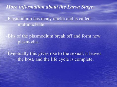 Ppt Mesozoa Powerpoint Presentation Free Download Id285733