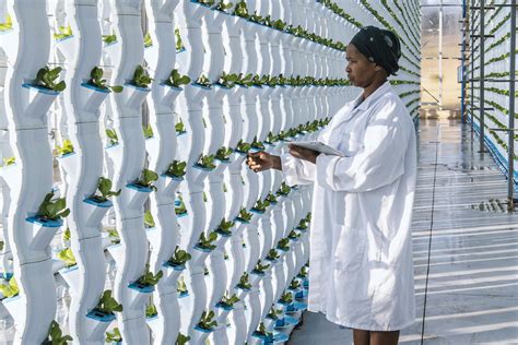 Readiness For Agricultural Transformation Aati