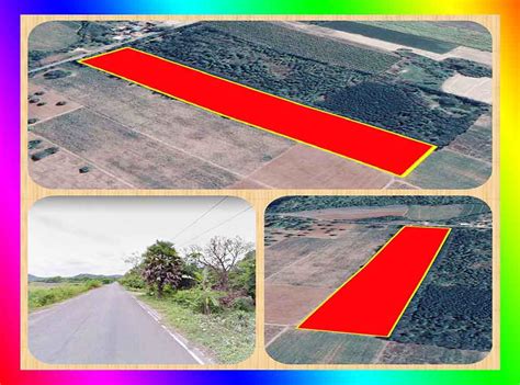 ขายที่ดินแปลงสวย 24 ไร่ ติดถนนลาดยาง วิวภูเขา ใกล้ถนนสระบุรี หล่มสัก ที่ดินร้อยแปด คอม