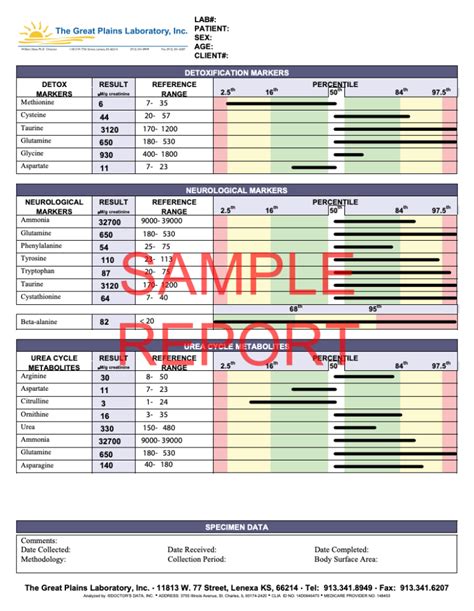 Oat Organic Acids Test Amino Acids Urine Combo Lab Tests Plus