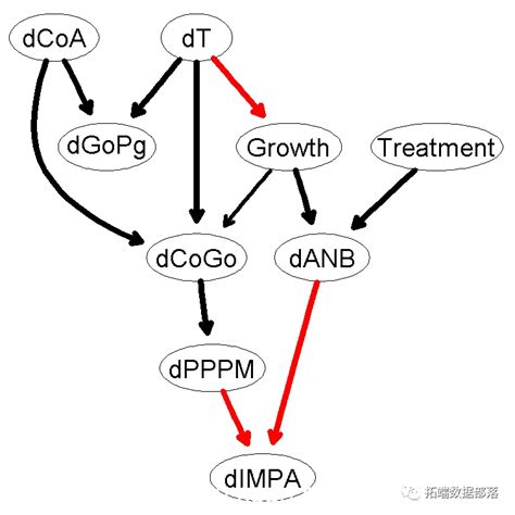 课程视频 r语言bnlearn包：贝叶斯网络的构造及参数学习的原理和实例 中 阿里云开发者社区