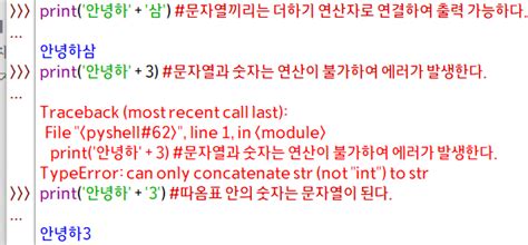 파이썬 프로그래밍 입출력 1 print 기본 출력 sep end