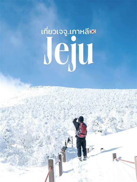 เที่ยวเกาะเจจู เกาหลี🇰🇷ฟิลขาวโพลน ️ แกลเลอรีที่โพสต์โดย Unithaitrip Lemon8