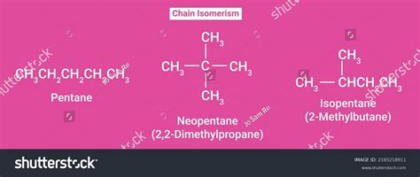 Chain Isomerism Pentane Isopentane 2methylbutane Neopentane Stock Vector Royalty Free