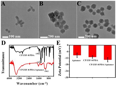 Polydopamine Functionalized Copper Peroxidezif 8 Nanoparticle Based